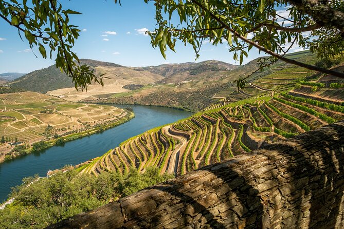 Douro Private Tour  Customizable Experience - The Final Touch: A Scenic Drive and Optional Extras