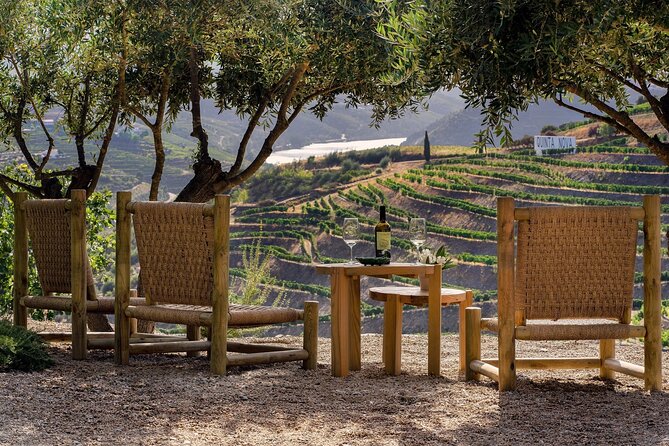 Douro Private Tour  Customizable Experience - Pricing and Value