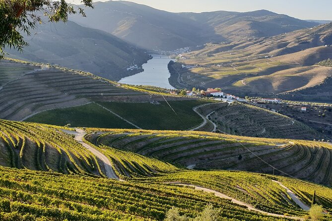 Douro Private Tour  Customizable Experience - Who Would Love This Experience?