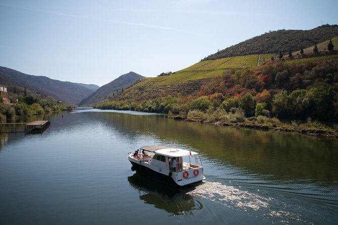 Douro River Cruise - Private River Cruise - Pinhão 1 Hour - The Full-Day Itinerary in Context