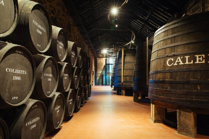 Douro River Cruise with Port Tasting and Lunch - Analyzing the Cost and Value