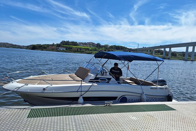 Douro River Private Tour - Accessibility and Participation