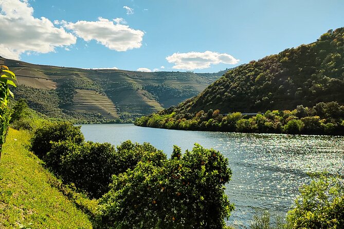 Douro | Roots & History - Tour with a local - Who Will Enjoy This Tour?