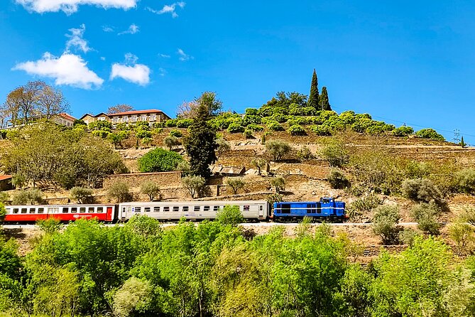 Douro | Roots & History - Tour with a local - The Sum Up