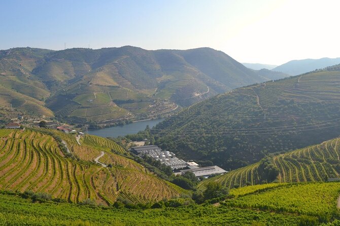 Douro Three Winery Small Group Tour With Lunch and Tastings - Convenient Pickup and Drop-off Locations