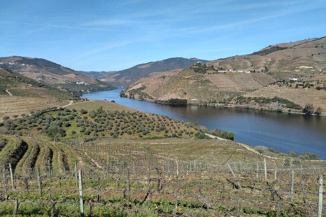 Douro Tour With River Cruise, 2 Wine Estates & Lunch, From Porto - Traveler Feedback and Recommendations