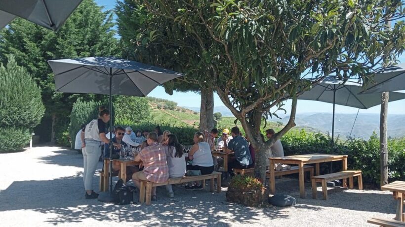 Douro Tour with Wine Tasting and Visit to Lamego and Pinhão - Exploring Portugal’s Douro Valley: A Balanced Look at the Wine & Scenery Tour
