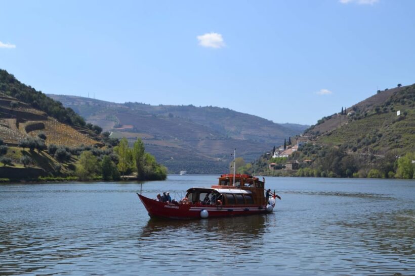 Douro Tour with Wine Tasting and Visit to Lamego and Pinhão - Practical Tips for Travelers