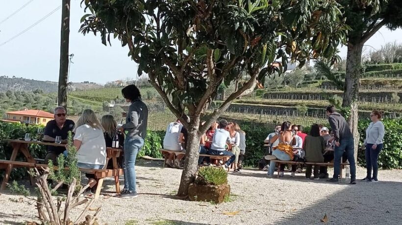 Douro Tour with Wine Tasting and Visit to Lamego and Pinhão - Final Thoughts: Is This Tour Worth It?