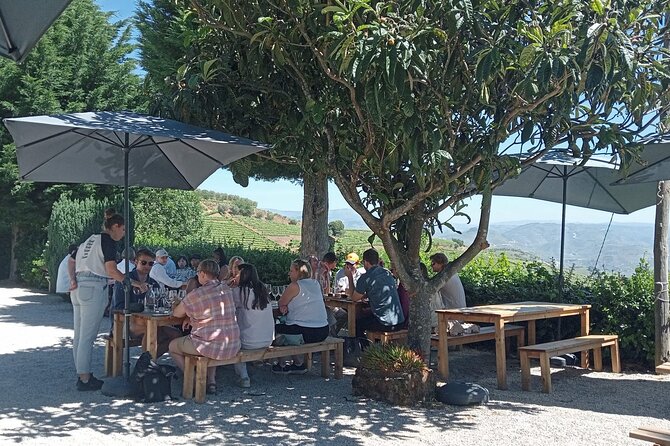 Douro Tour With Wine Tasting, River Cruise and Visit to Lamego - Taste Local Wines and Port Wines