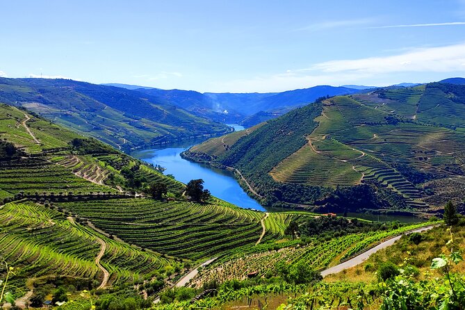 DOURO TOURS - in Pinhão 1 day all inclusive 99, Douro Valley - Transportation & Group Size