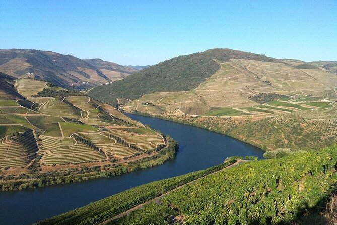 Douro Tours Review: A Day in Paradise - Traveler Reviews and Experiences