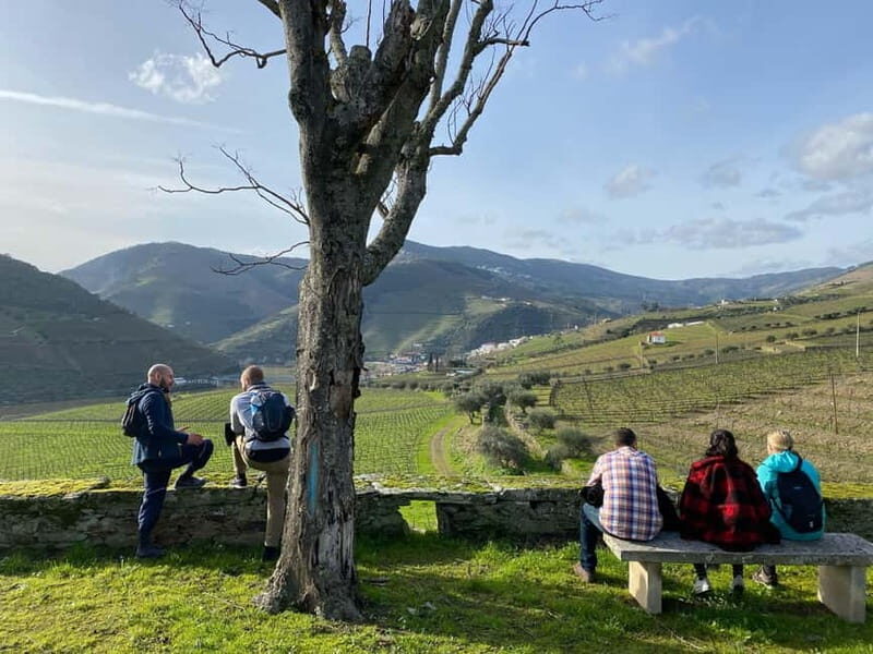 Douro valley: 10 km hike in the Valley - Exploring the Douro Valley: A Detailed Review