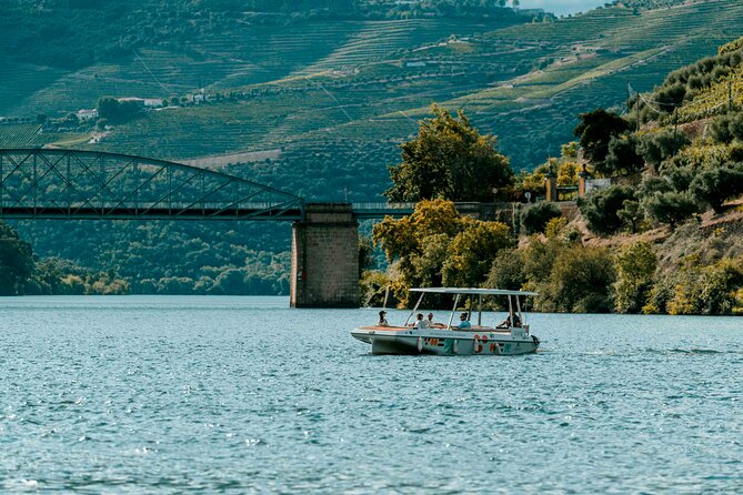 Douro Valley: 1h Solar Boat Experience - Two Wine Tasting - Overview of the Douro Valley Experience