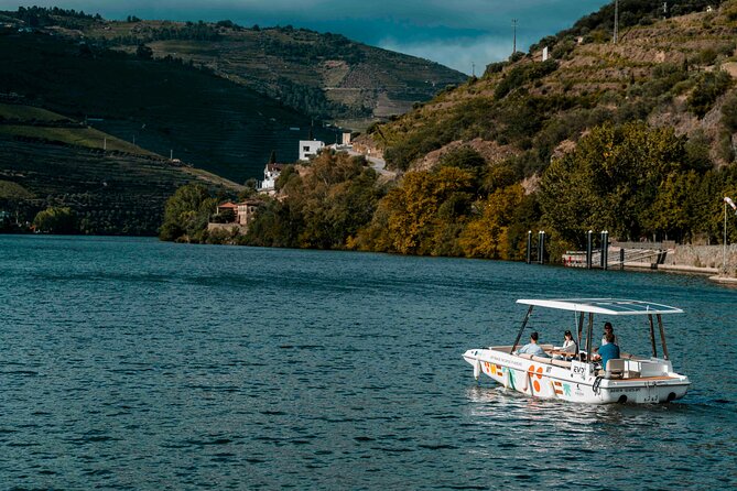 Douro Valley: 1h Solar Boat Experience - Two Wine Tasting - What to Expect During the Tour