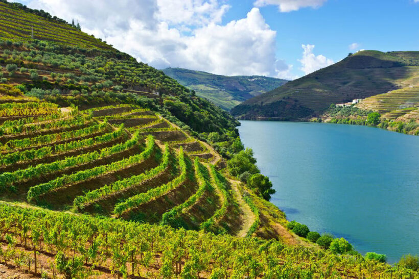 Douro Valley & Amarante - from Porto, Braga or Guimarães - Why This Tour Is Worth Considering