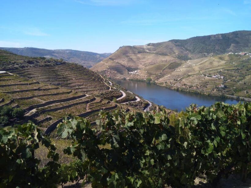 Douro Valley & Amarante - from Porto, Braga or Guimarães - How the Experience Stands Out