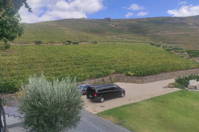 Douro Valley Amazing Wine Tours - Visiting Douro Valley Wineries