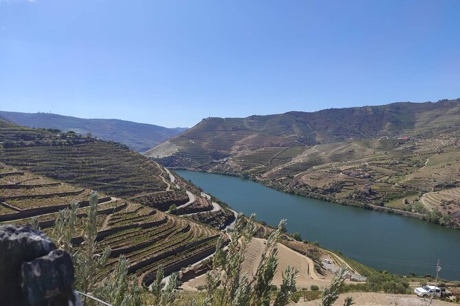Douro Valley Amazing Wine Tours - Knowledgeable and Comfortable Guides
