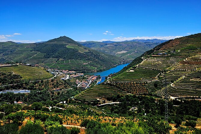 Douro Valley and Green Wine With Tastings, Chef Lunch and Boat - Wine Tastings in Two Regions