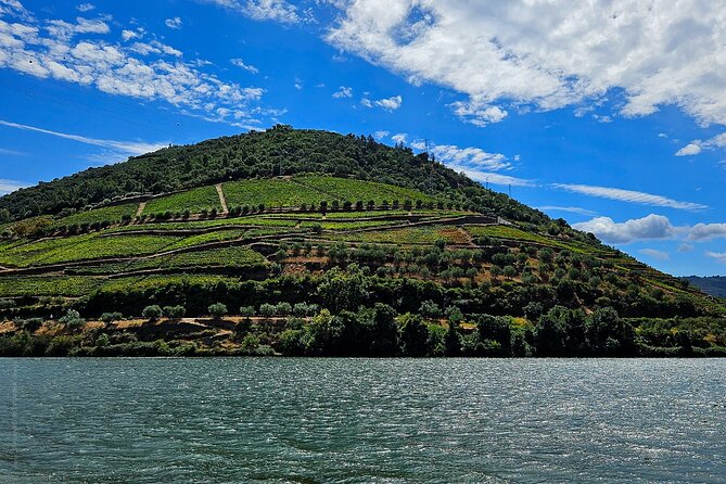 Douro Valley and Green Wine With Tastings, Chef Lunch and Boat - Important Additional Information