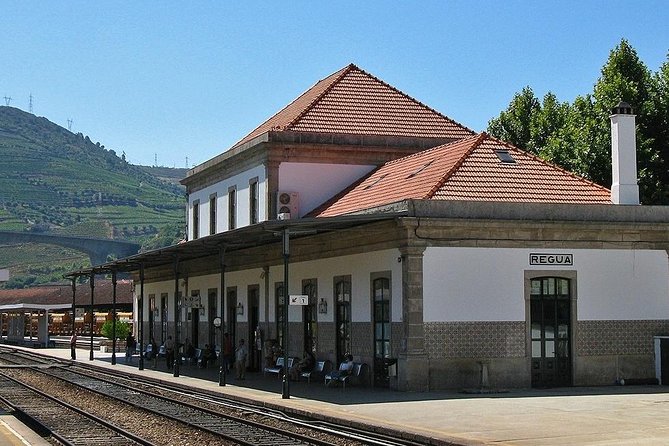 Douro Valley and Régua Panoramic Cruise with Lunch from Porto - The Value and Who Will Enjoy This Tour