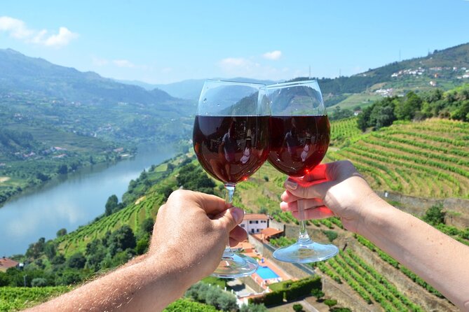 Douro Valley Delights Wine Tasting and Scenic Vistas - Key Points
