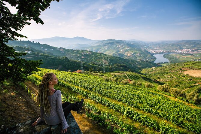 Douro Valley Delights Wine Tasting and Scenic Vistas - The Experience in Context