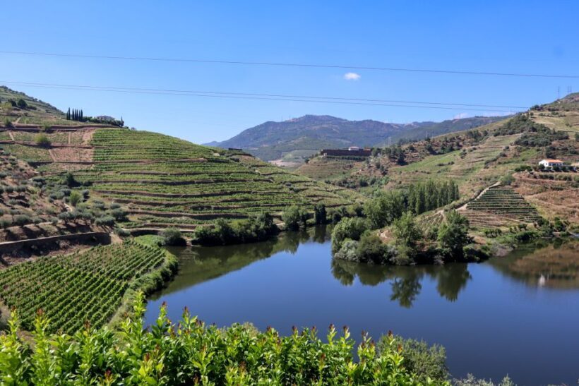 Douro Valley: Douro Valley Tour Including 3 Wineries - Visiting the Wineries: What You Can Expect