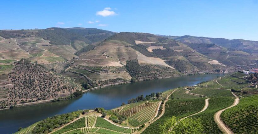 Douro Valley: Douro Valley Tour Including 3 Wineries - Scenic Stops and Photo Opportunities