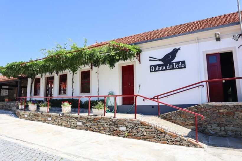 Douro Valley: Douro Valley Tour Including 3 Wineries - The Return and Summary