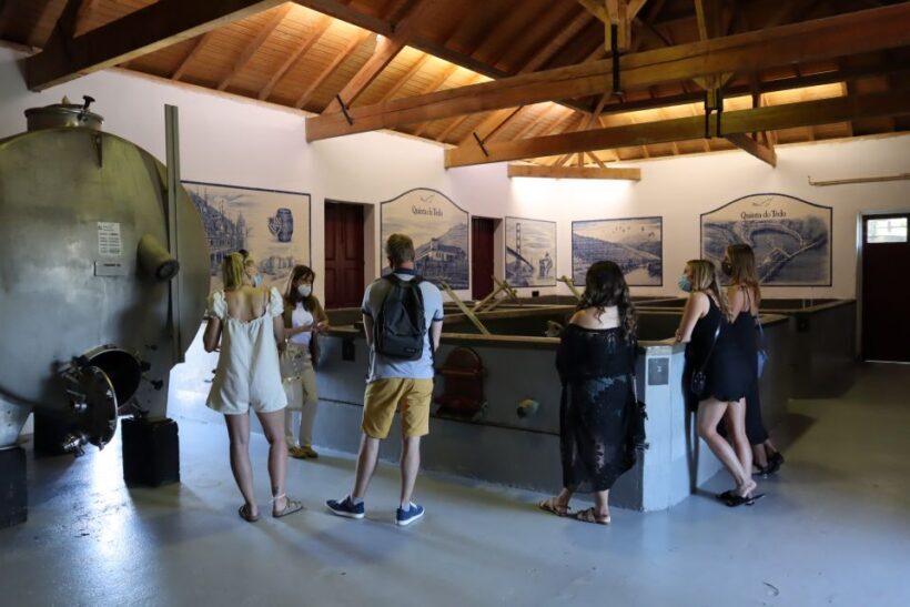 Douro Valley: Douro Valley Tour Including 3 Wineries - Why Travelers Love It