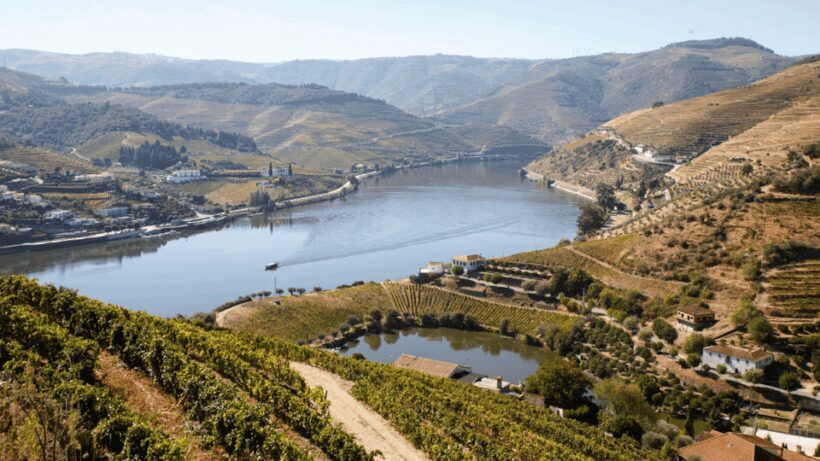 Douro Valley : Exclusive and Sustainable experience - A Journey Through Scenic Portugal with a Green Twist
