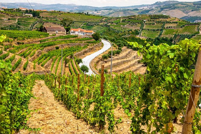 Douro Valley EXCLUSIVE Private Day Trip by Car With Boat Included - Booking Details and Practical Information