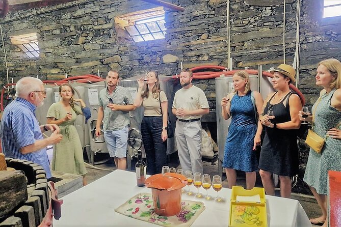 Douro Valley-Expert Guide-Boat-Lunch-Tastings Premium Service - What Makes This Tour Stand Out