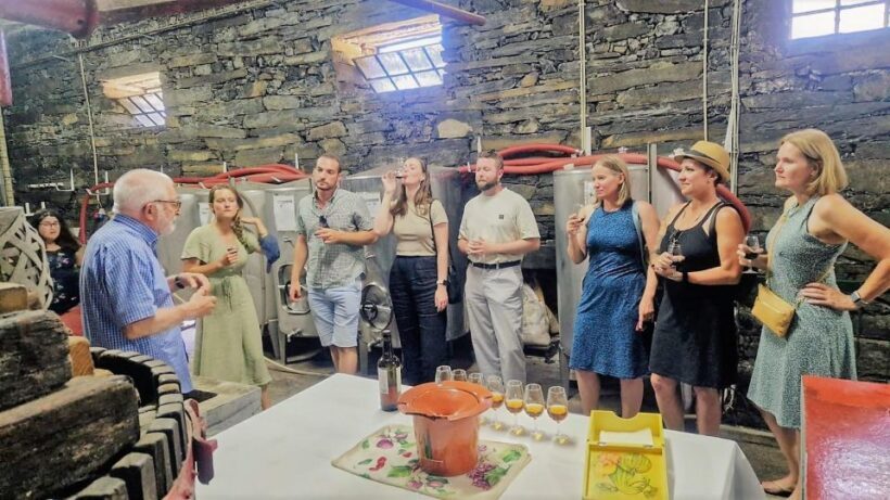 Douro Valley-Expert Guide-Boat-Lunch-Tastings PremiumService - Introduction