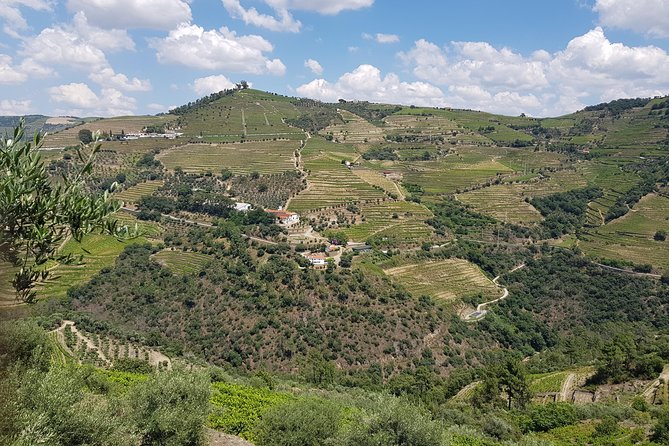 Douro Valley for Wine Lovers With Visit to 3 Vineyards and Lunch at a Winery - Indulging in a Winery Lunch Experience