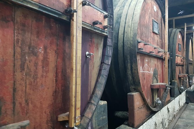 Douro Valley for Wine Lovers With Visit to 3 Vineyards and Lunch at a Winery - Tasting the Variety of Douro Wines