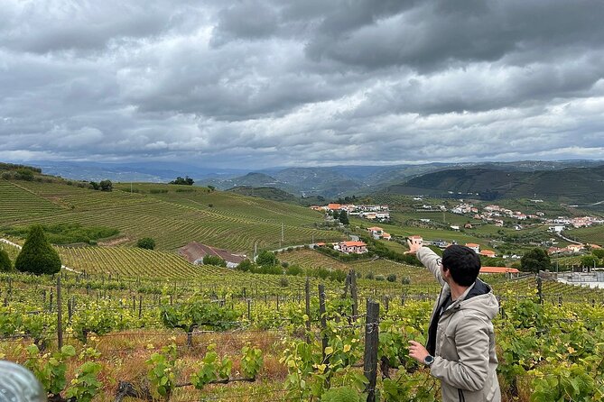 Douro Valley for Wine Lovers With Visit to 3 Vineyards and Lunch at a Winery - Recommendations and Traveler Tips for Your Wine Adventure