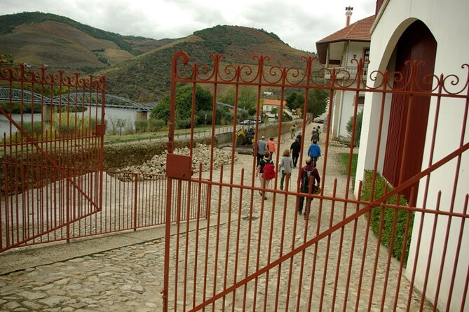 Douro Valley: From Casal de Loivos to Pinhão Walk and Wine Tour - Discovering the Douro Valley in Style and Substance