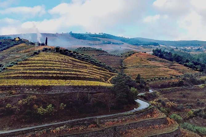 Douro Valley from Porto with Wineries, Lunch and Boat Trip - Discovering the Douro Valley from Porto: An In-Depth Review