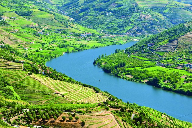 Douro Valley from Porto with Wineries, Lunch and Boat Trip - The Itinerary: A Closer Look
