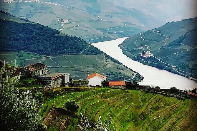 Douro Valley from Porto with Wineries, Lunch and Boat Trip - What Travel Reviews Highlight
