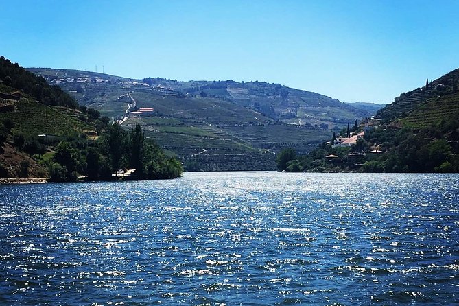 Douro Valley from Porto with Wineries, Lunch and Boat Trip - Analyzing the Value