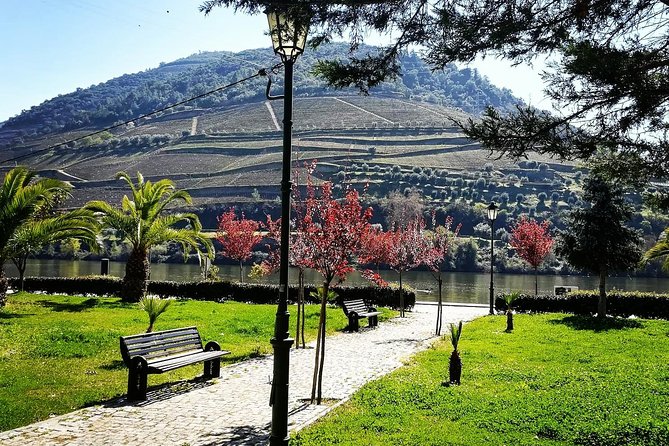 Douro Valley from Porto with Wineries, Lunch and Boat Trip - Practical Details: What You Need to Know