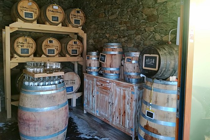 Douro Valley from Porto with Wineries, Lunch and Boat Trip - Final Thoughts: Who Will Love This Tour?