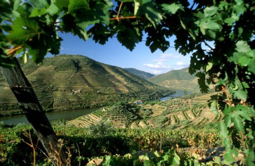 Douro Valley: Full-Day Private Tour from Porto - Key Points