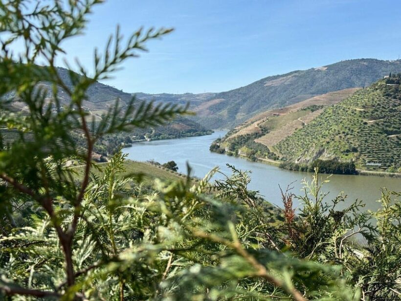 Douro Valley Full Day Tour From Lisbon - FAQ