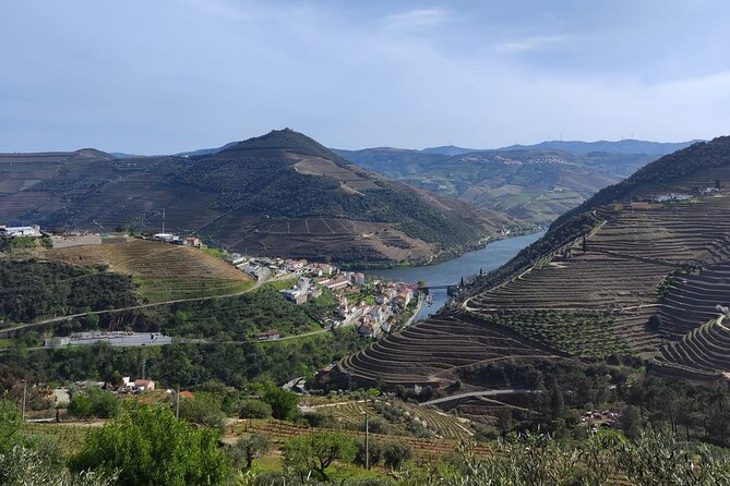 Douro Valley Full Experience With Limited Small Group - Accessibility and Participation