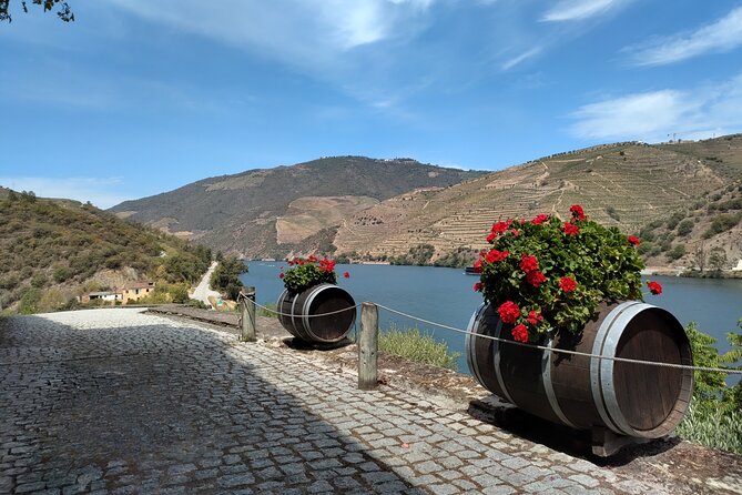 Douro Valley Full Experience With Limited Small Group - Testimonials From Satisfied Guests
